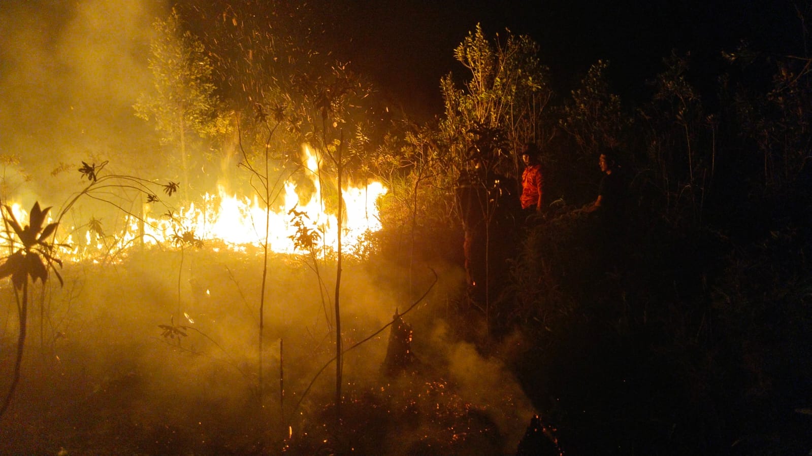Kebakaran-Hutan-dan-Lahan di NATUNA, KEPULAUAN-RIAU, 18-07-2023
